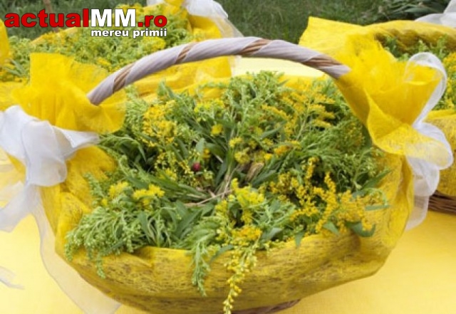 24 iunie - Sânzienele. Tradiții și obiceiuri - ActualMM.ro - Știri