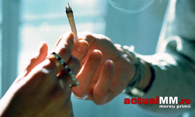 INVENTIVITATE FĂRĂ MARGINI - Droguri cu otravă de șobolani și spray de ...