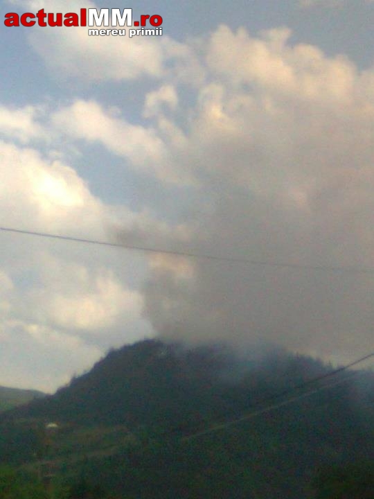 VIDEO - FOTO EXCLUSIV - ACTUALIZARE 2 - Incendiu padure de brad in ...