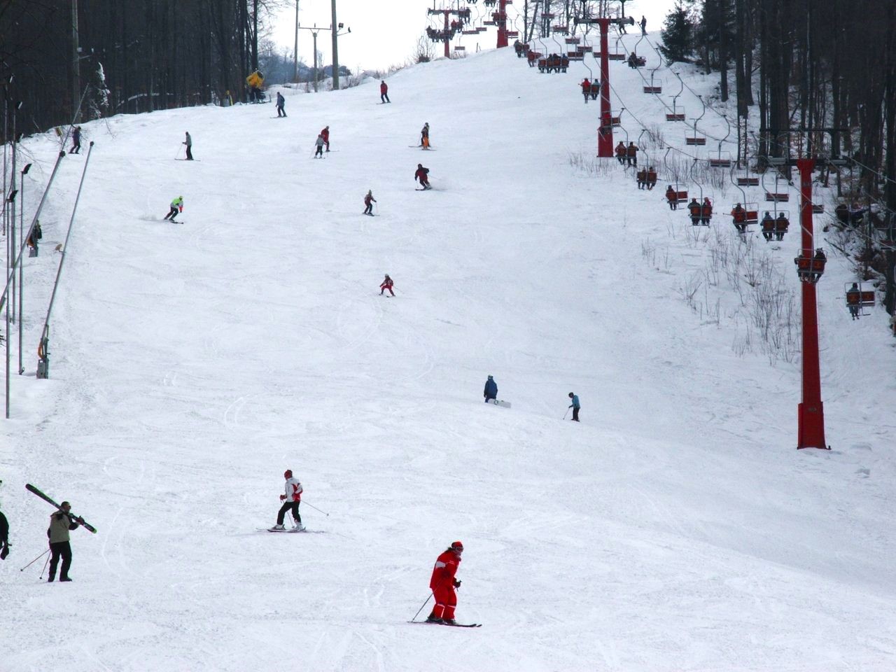 SPECTACOL PE PÂRTIA ȘUIOR! - Pentru prima dată în istorie, județul ...