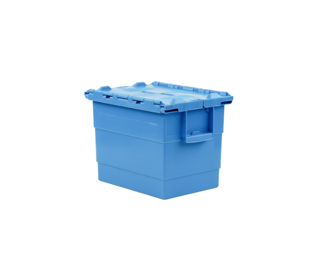 Oamenii din lumea intreaga apreciaza ambalajele din plastic - ActualMM ...